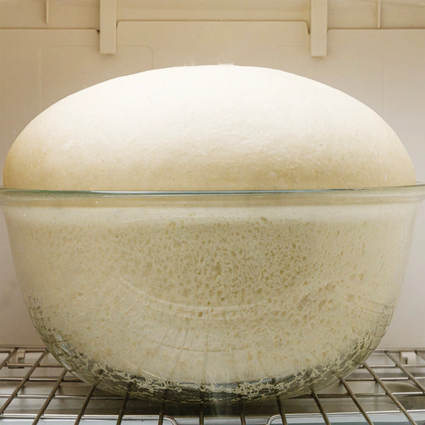Bread Rising Tips | Brod & Taylor